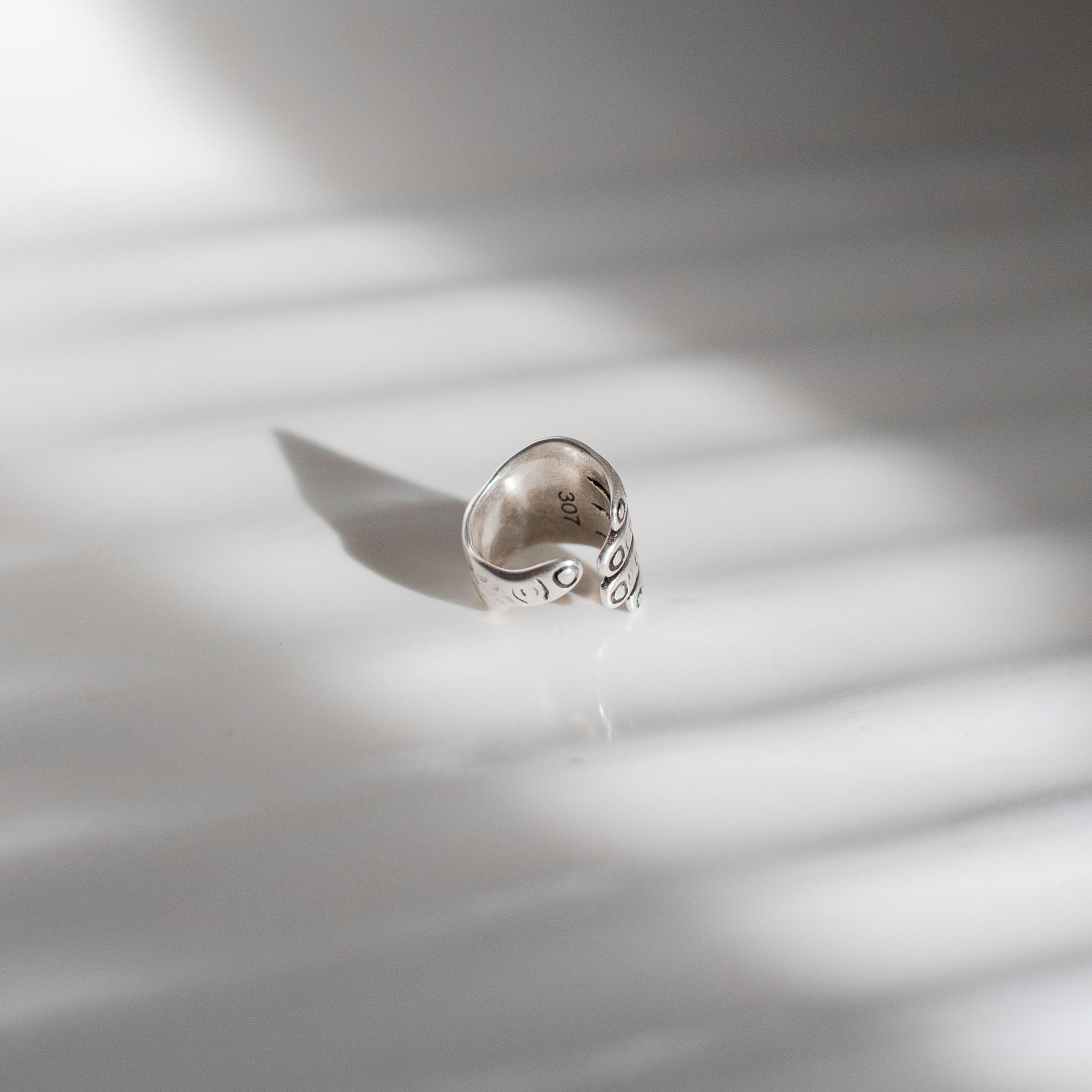 the hand ring – ASTERISK °ᴗ*